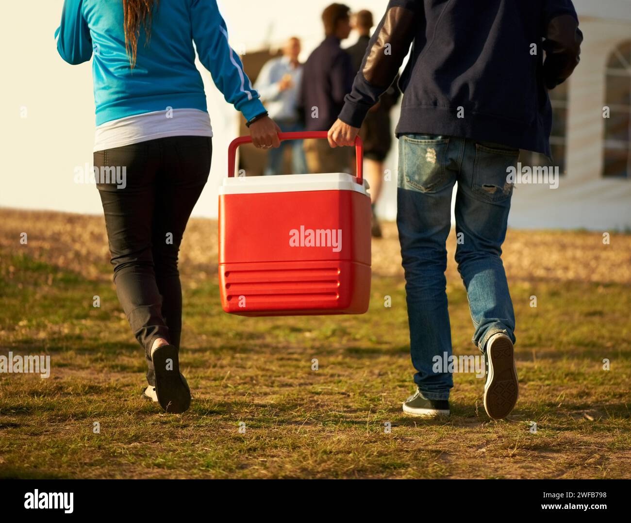 Back, people and cooler box with music festival, party and event with ...