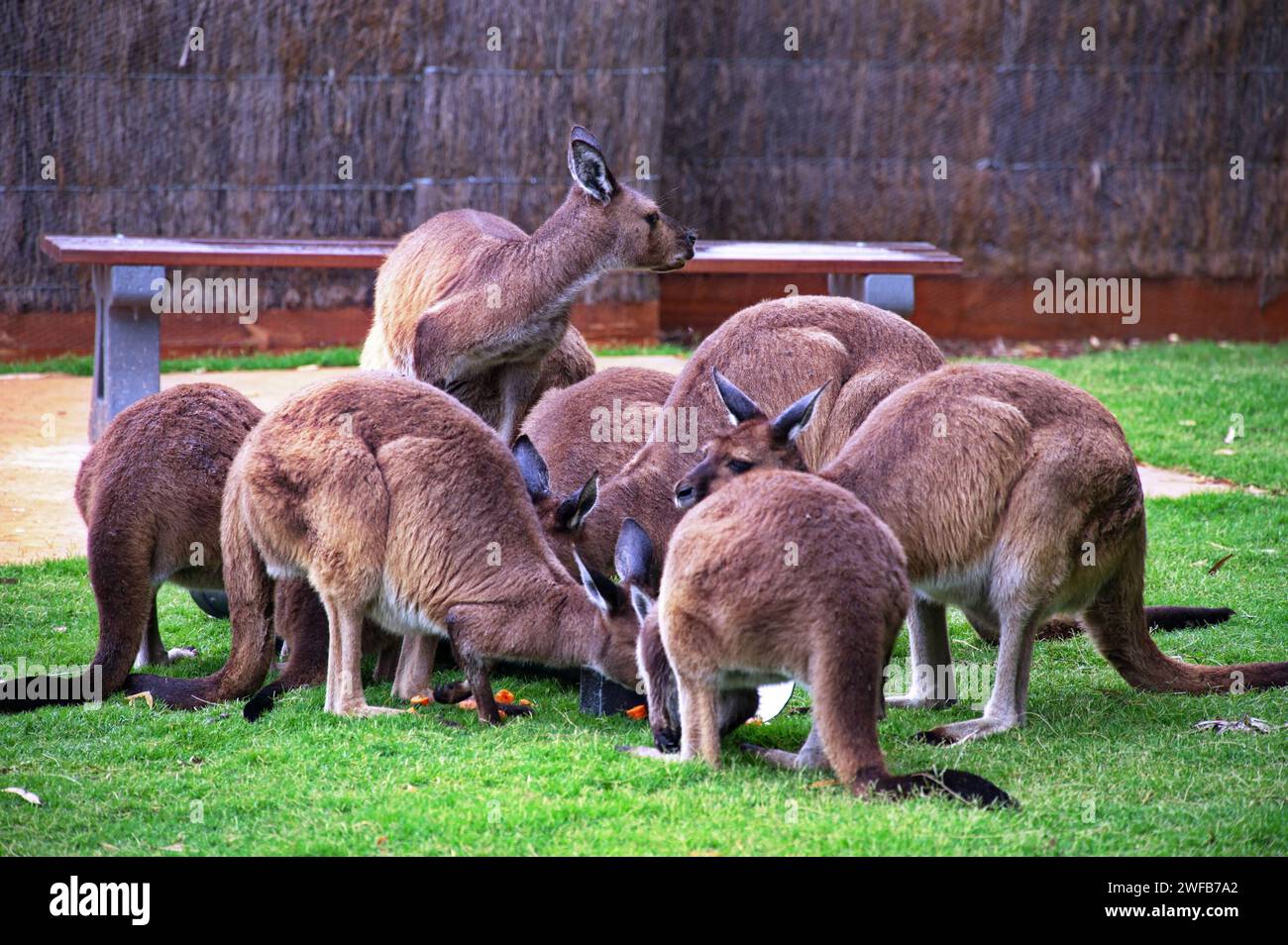 Ltdoors hi-res stock photography and images - Alamy