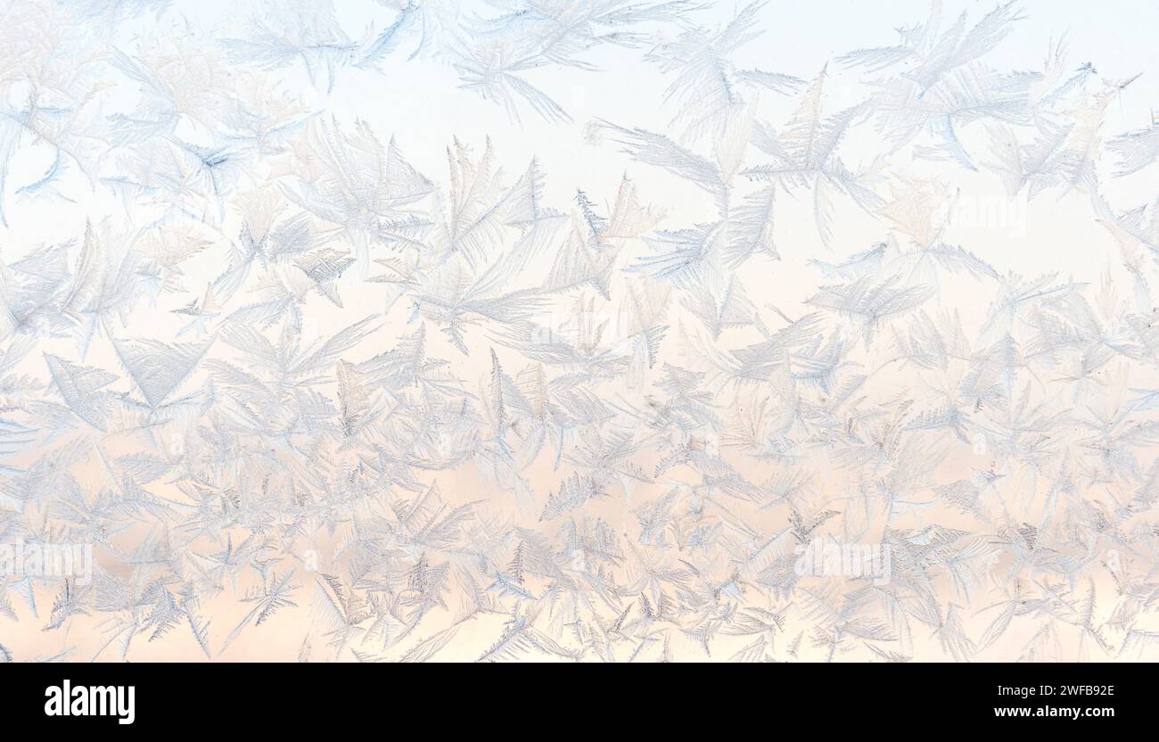 A tranquil dawn sky illuminates the intricate frost feathers ...