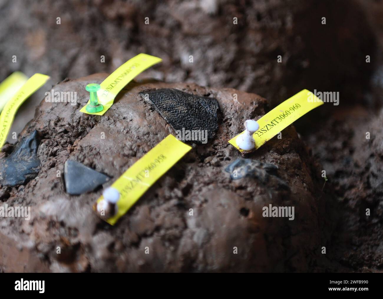 (240130) -- ZIYANG, Jan. 30, 2024 (Xinhua) -- This photo taken on Dec ...