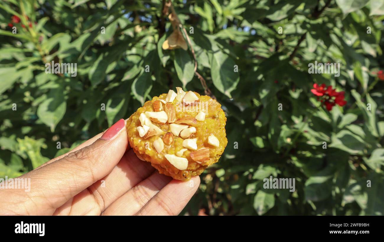 Halvasan a Gujarati popular sweet dish. Khambhat special sweet dish ...