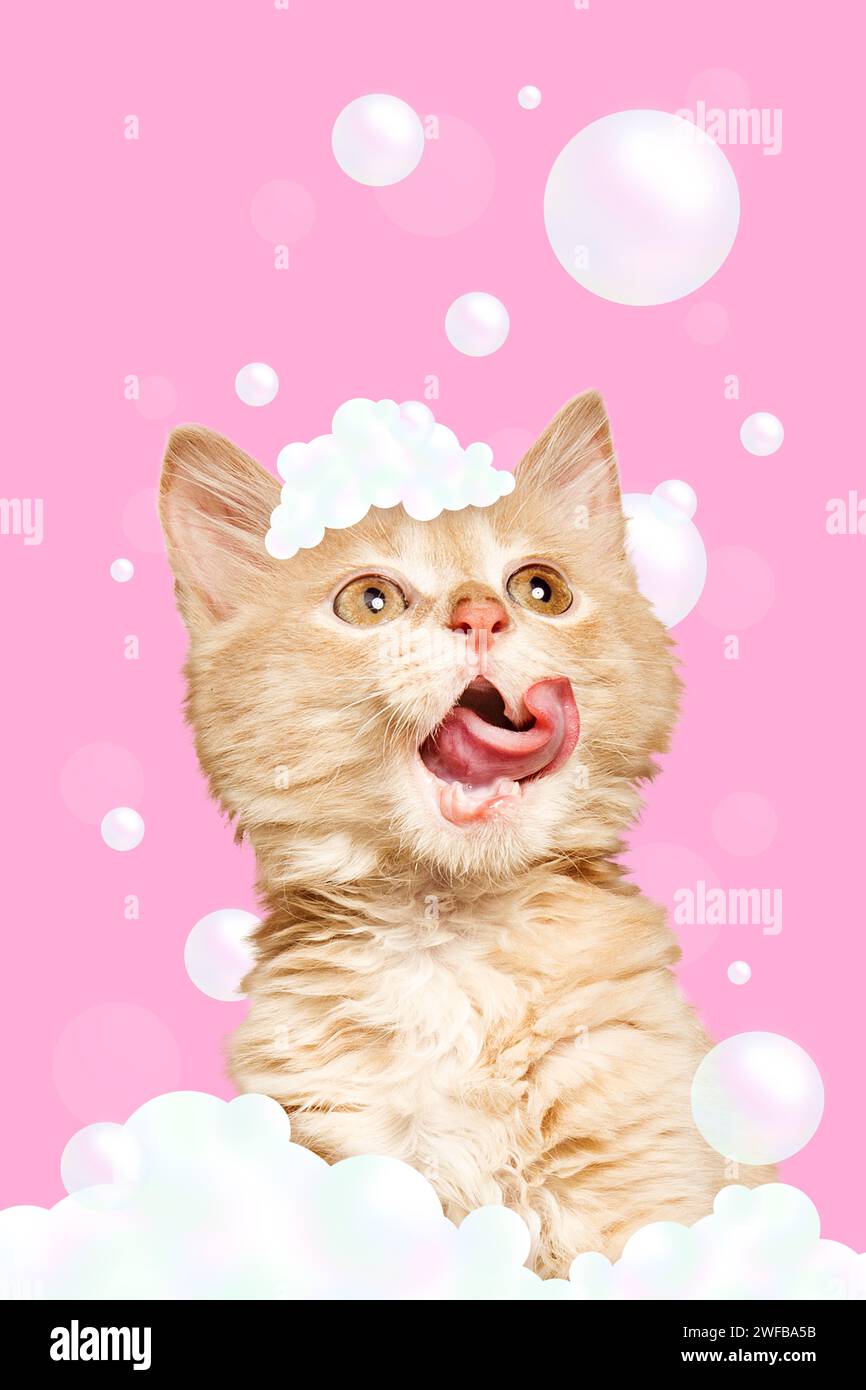 Modern aesthetic artwork. playful kitten with a cluster of iridescent ...