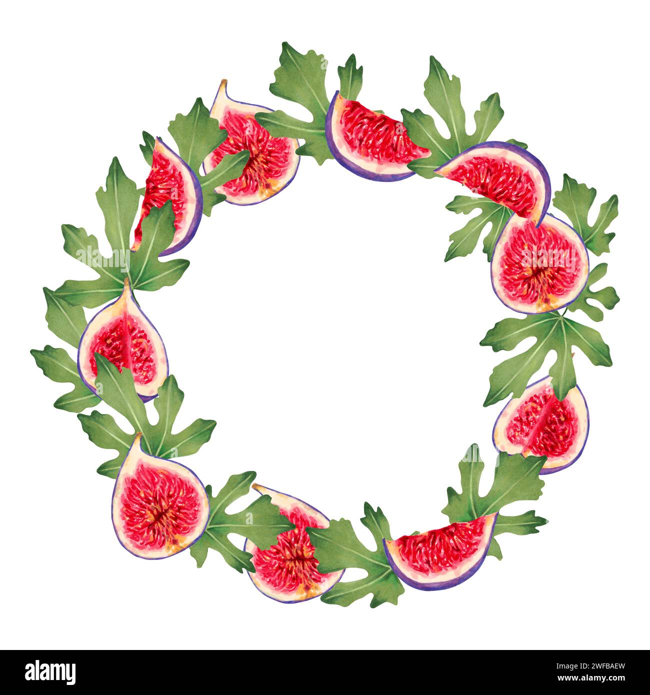 Fruit round fig frame.Watercolor and marker illustration.Hand drawn ...