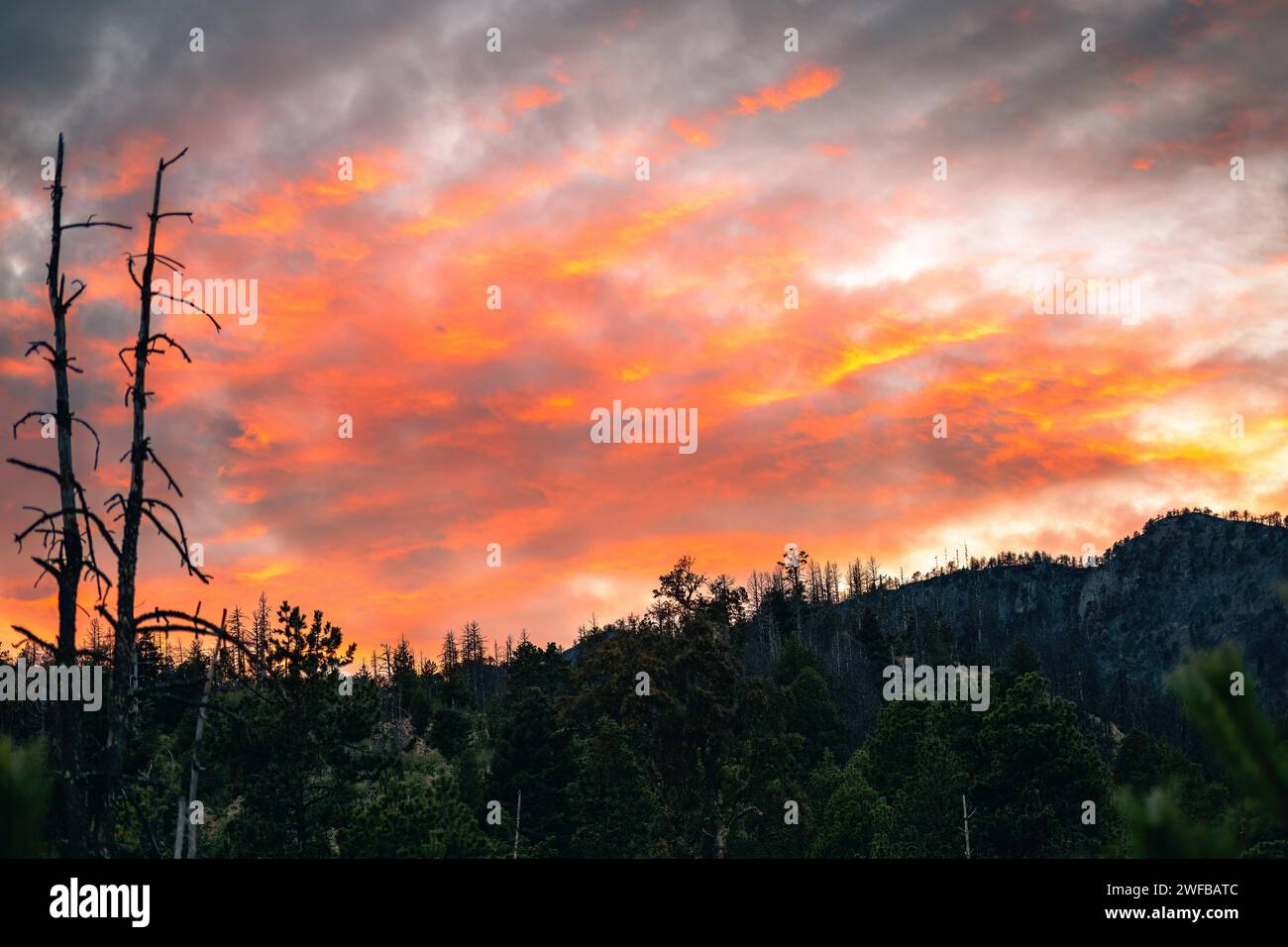 A majestic mountain range with trees at sunset in Parque Nacional ...