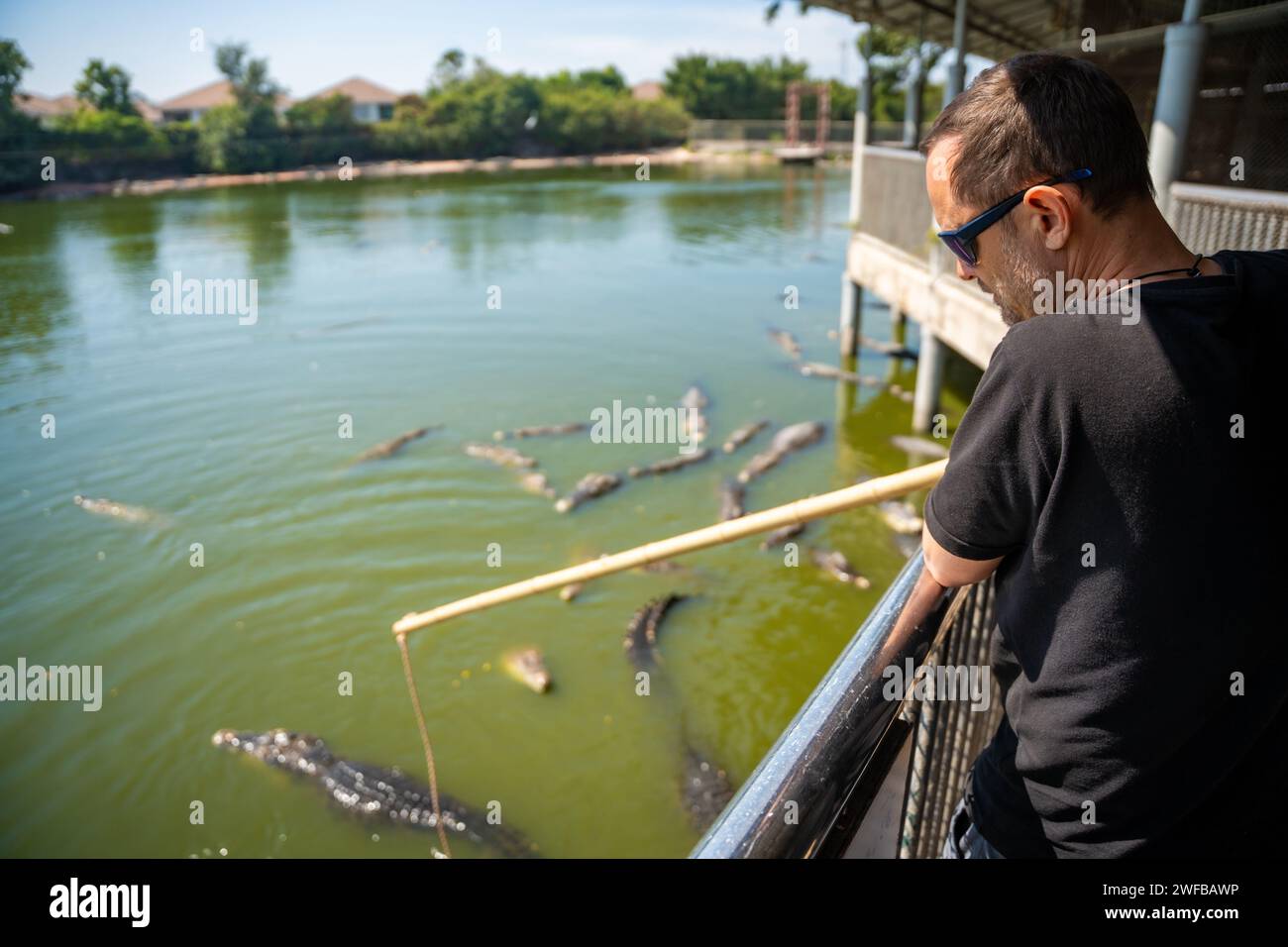 Asian crocodile australia hi-res stock photography and images - Alamy