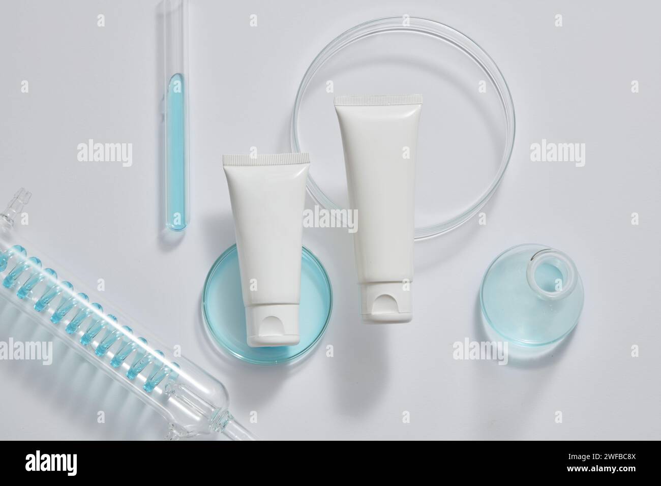 Laboratory concept with test tubes, petri dish and an erlenmeyer flask ...