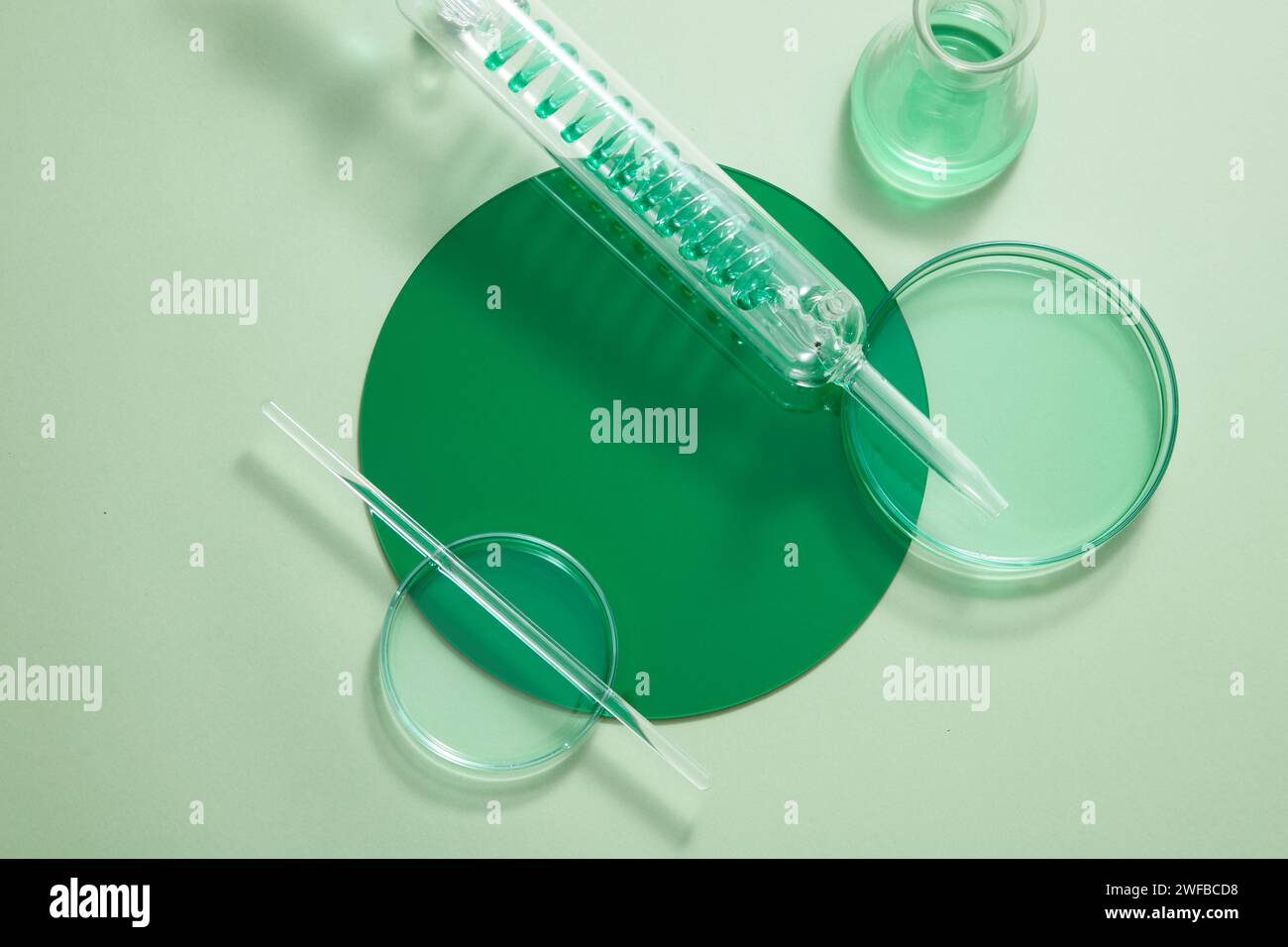 Petri dishes, test tube with spiral pipe and an erlenmeyer flask filled ...