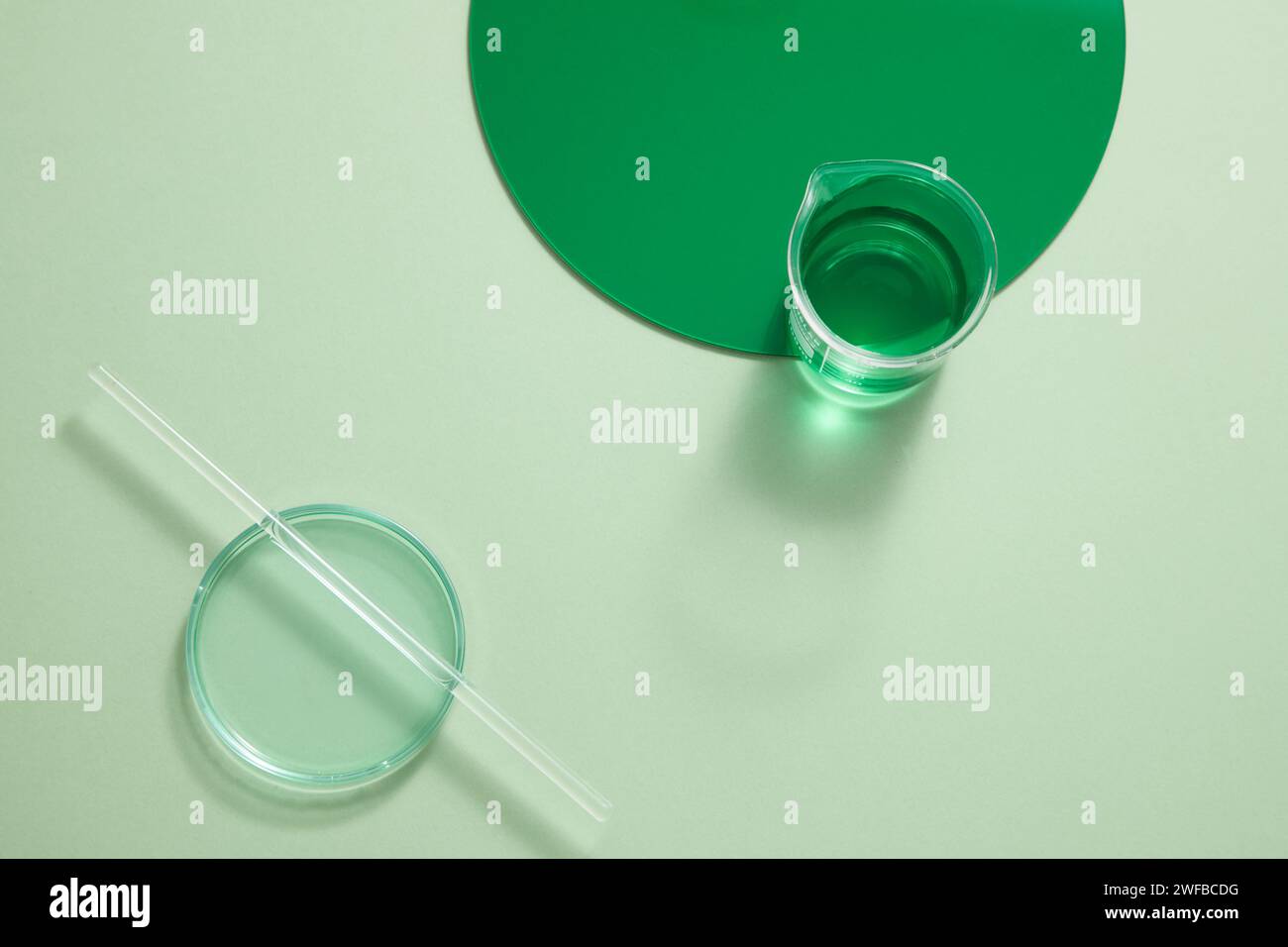 A beaker containing green liquid decorated with a round green plastic ...