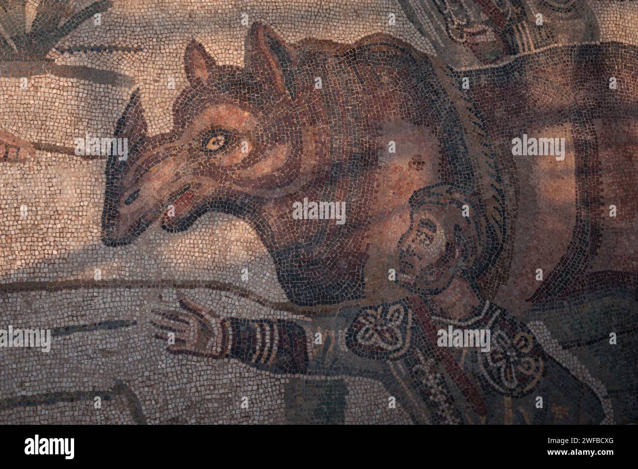 Insignia romana hi-res stock photography and images - Alamy