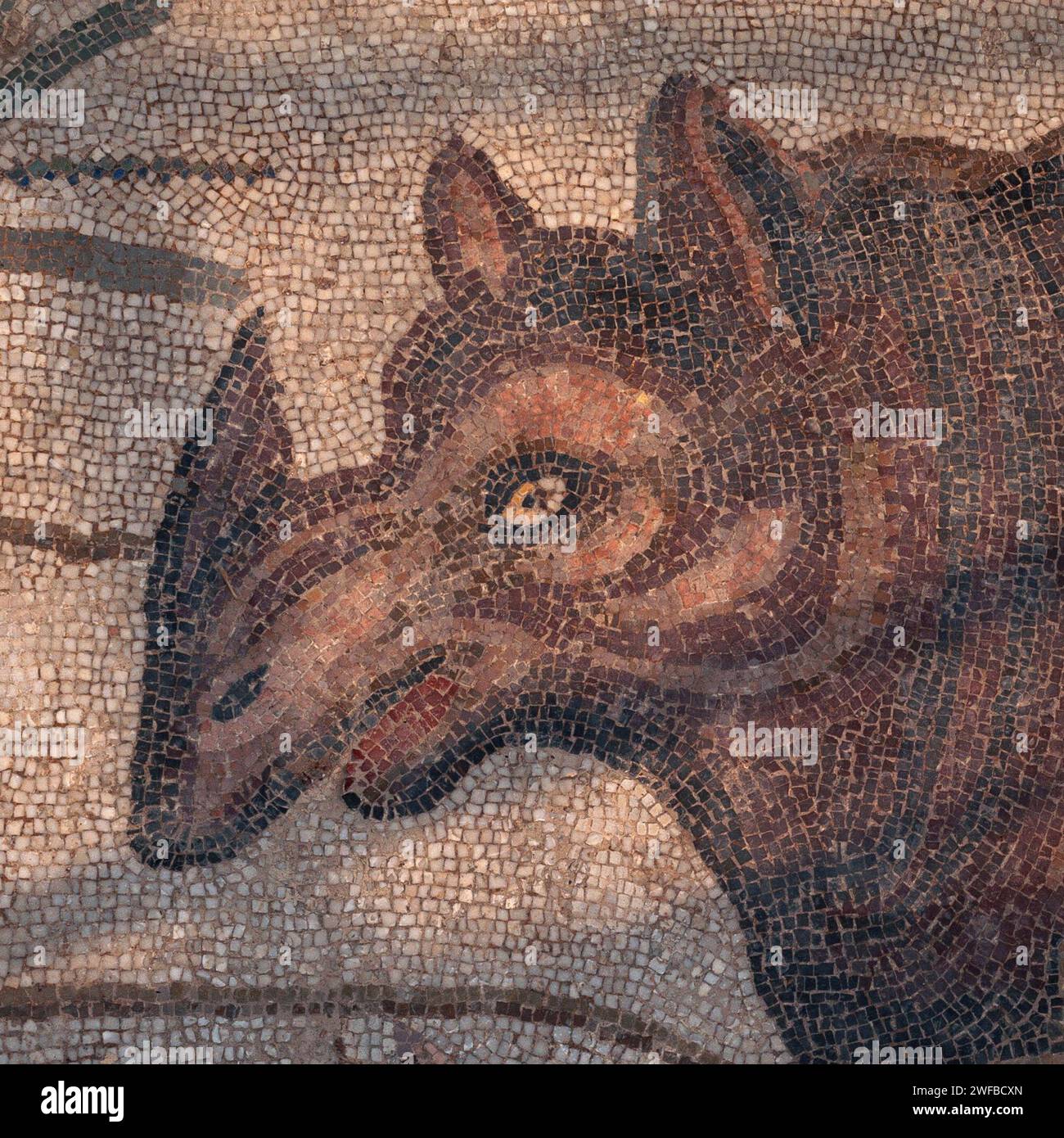 D1242 b4825 b hi-res stock photography and images - Alamy