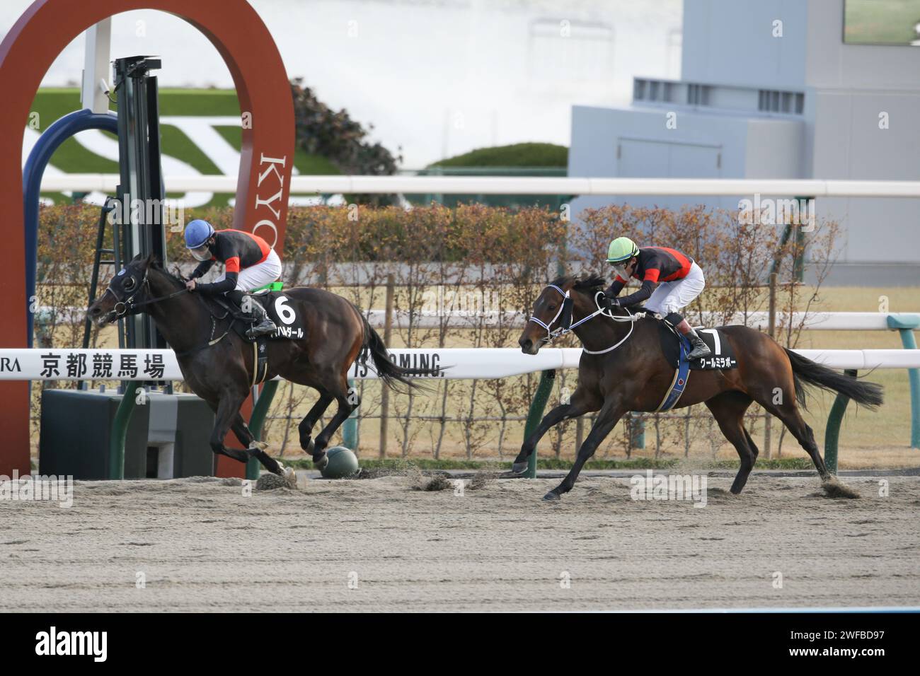 2024/01/27 KYOTO 11R MAIZURU STAKES Bahir Dar(USA)/Kohei Matsuyama ...