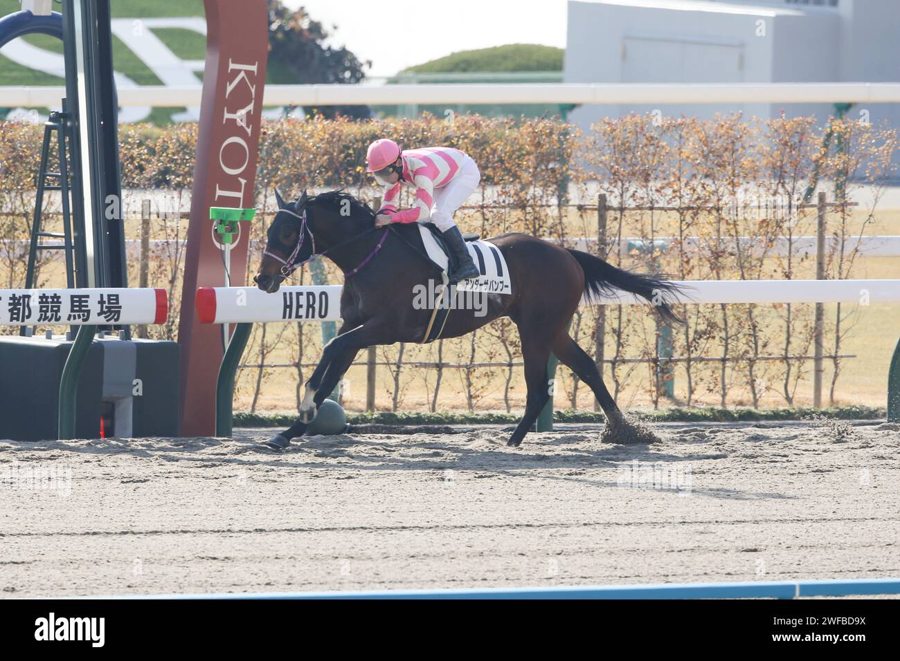 2024/01/28 KYOTO 02R Under the Bamboo/Norihiro Yokoyama Jockey Kyoto ...