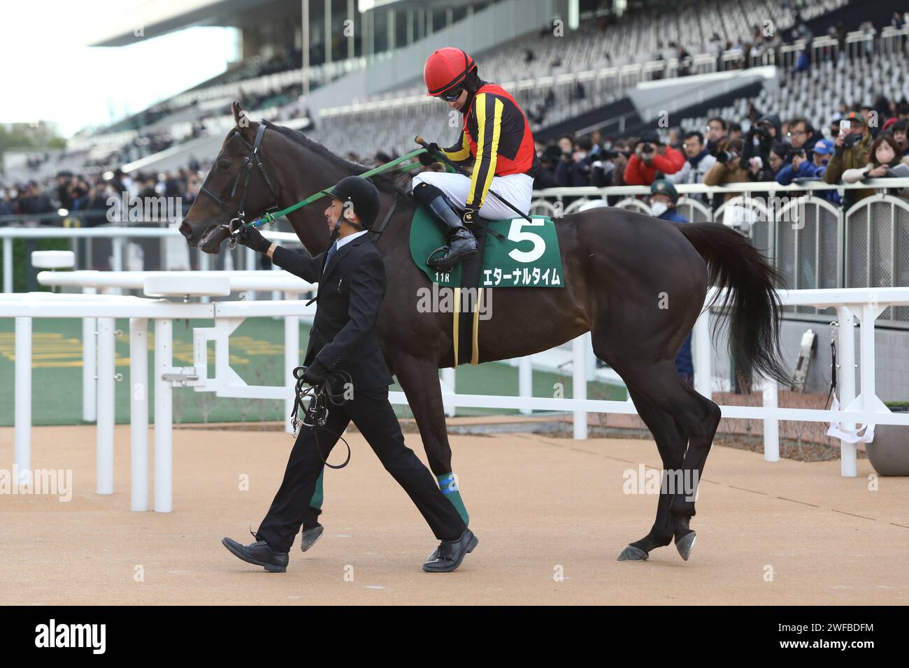 2024/01/28 KYOTO 11R THE SILK ROAD STAKES Eternal Time/Christophe ...