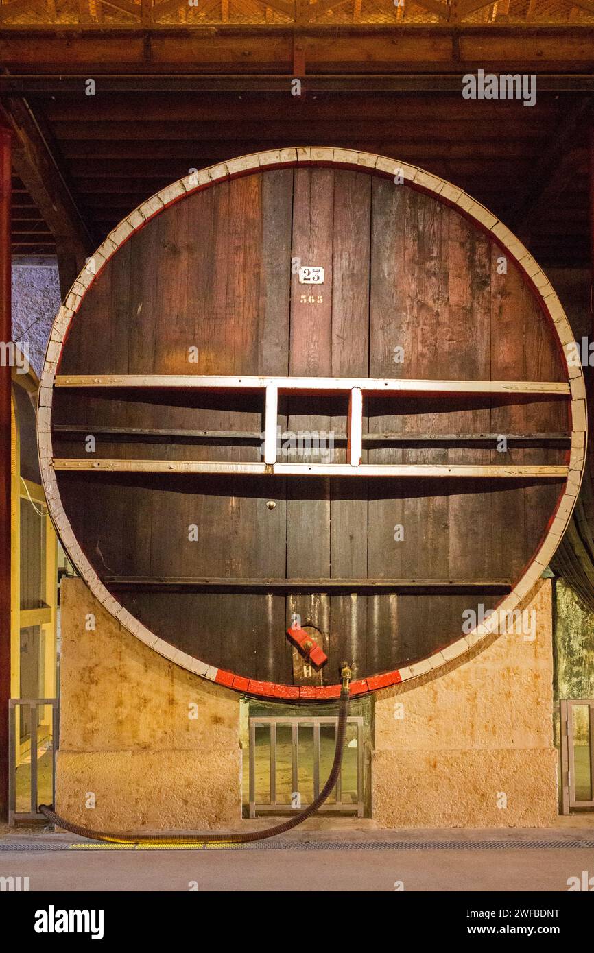 Interior of the old cellar of the "Chateau de Colombiers" on a bank of ...