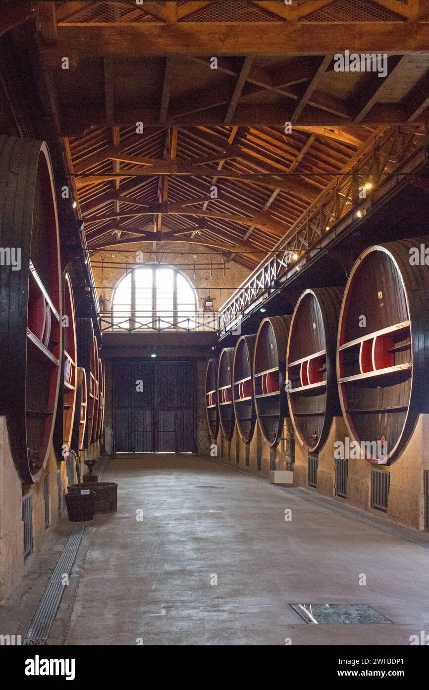 Interior of the old cellar of the "Chateau de Colombiers" on a bank of ...
