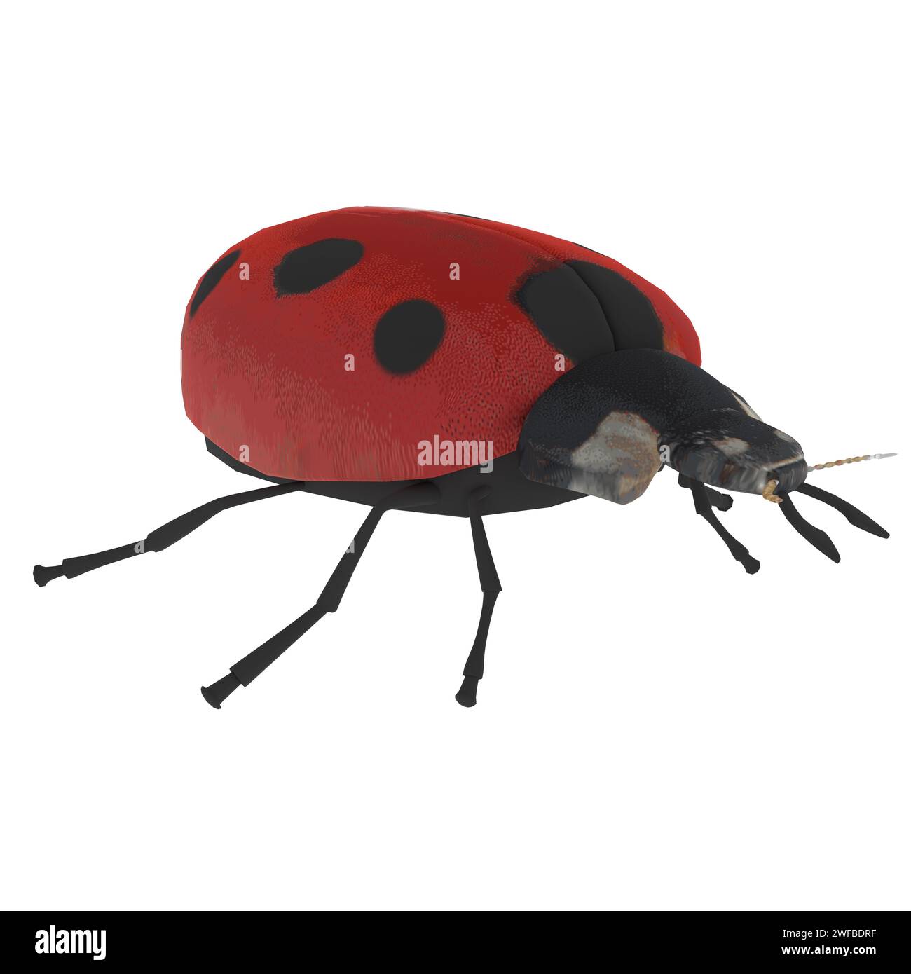 Ladybird isolated on white background. High quality 3d illustration ...