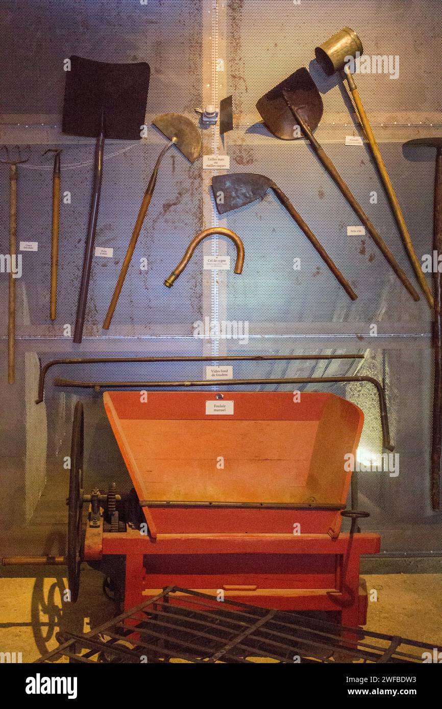 Interior of the old cellar of the "Chateau de Colombiers" on a bank of ...