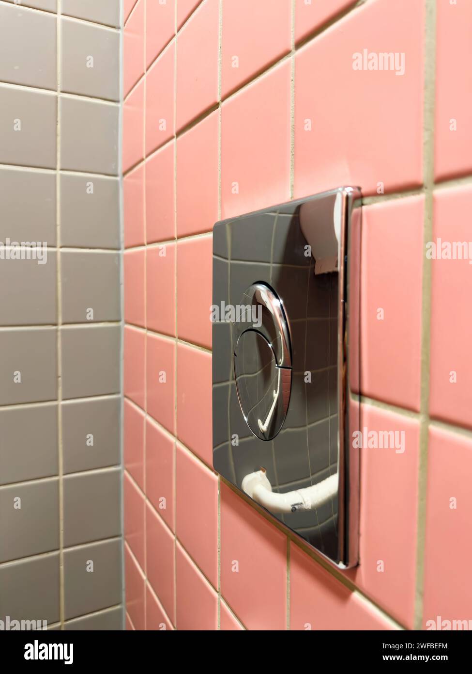 A chrome shiny toilet flush button installed on the pink wall with ...