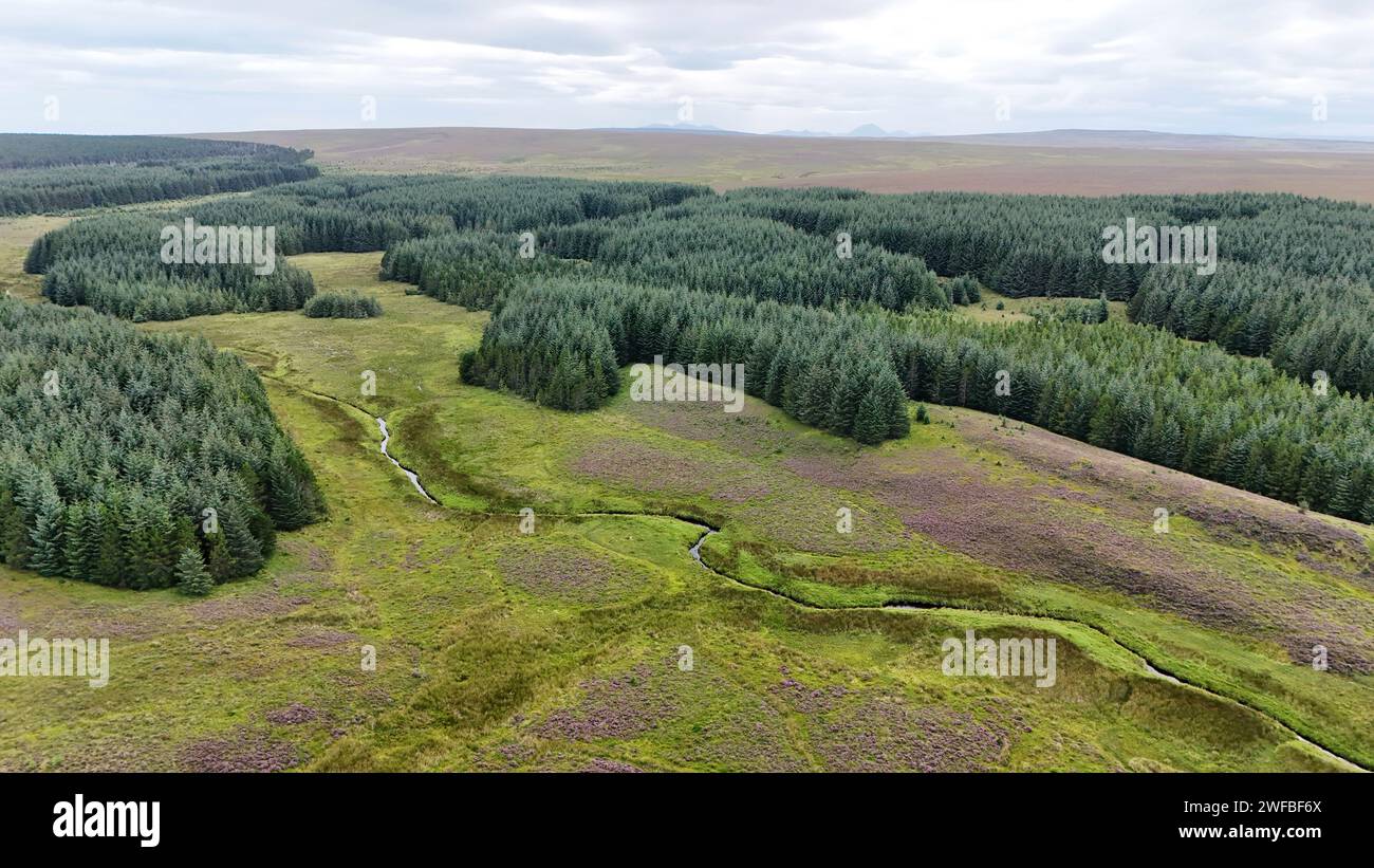 Aerial perspective of grassy landscape encircled by lush trees Stock ...