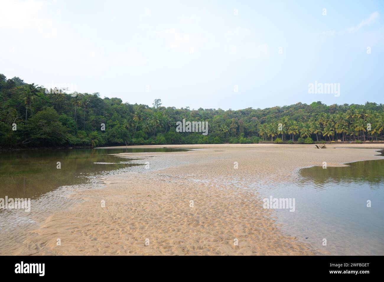 Agonda, Goa, India, Landscape along river with palm trees and mangroves ...