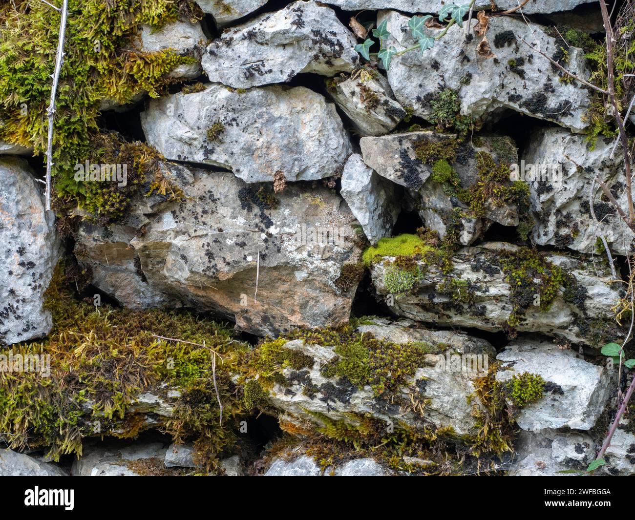 Background of a stone pavement. Stone Wall Texture Stock Photo - Alamy
