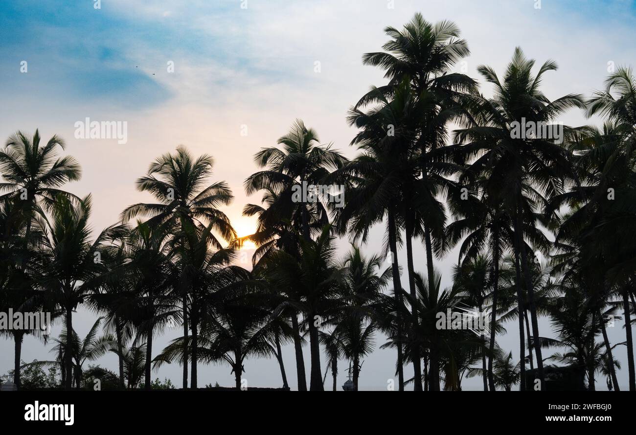 Palm trees dusk sunset hi-res stock photography and images - Alamy