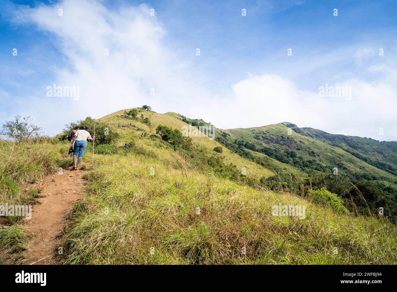 Photographer Mountain Trekking in Waynad wild life Sanctuary. 07 ...