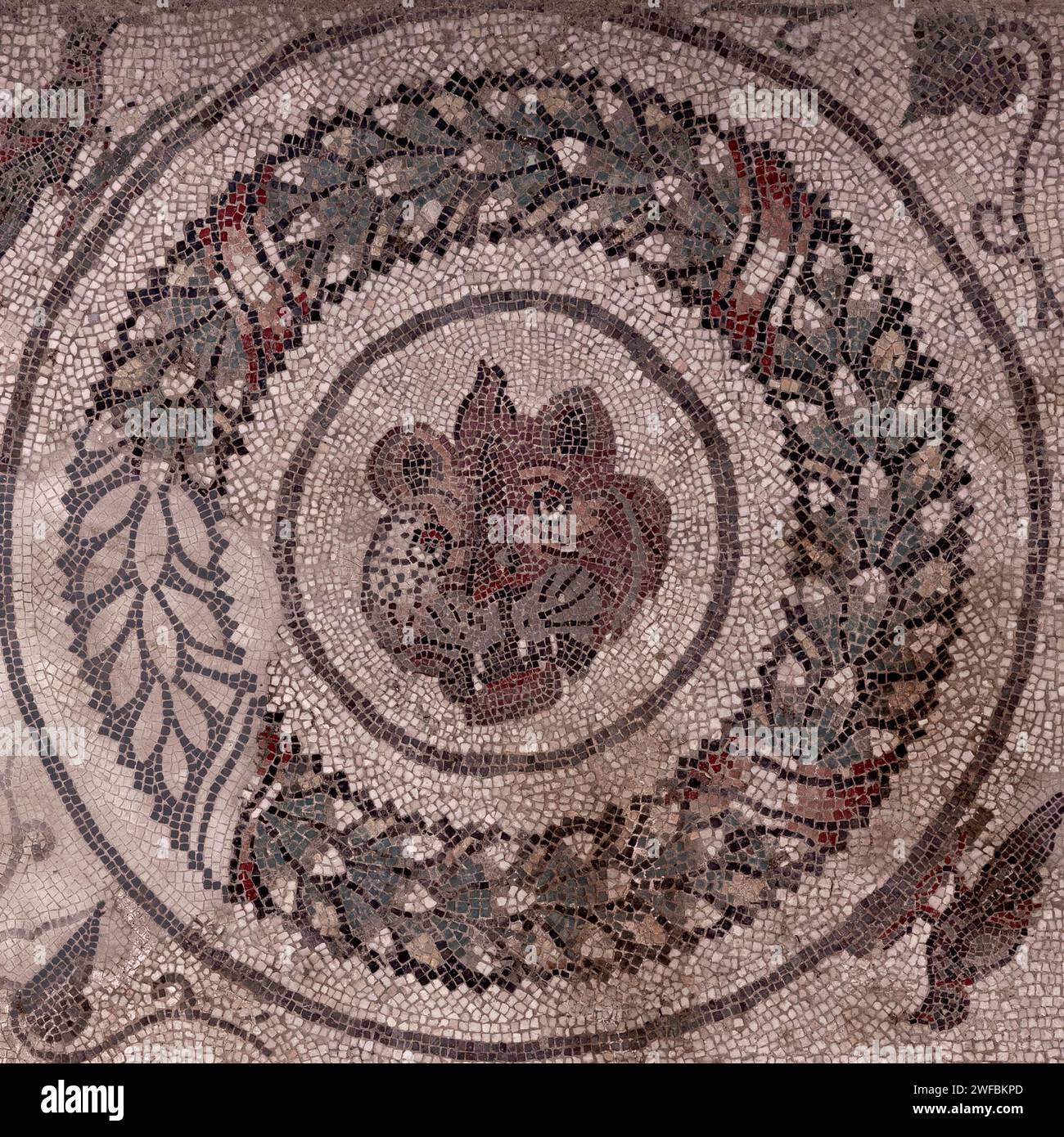 Ancient roman cat mosaic hi-res stock photography and images - Alamy