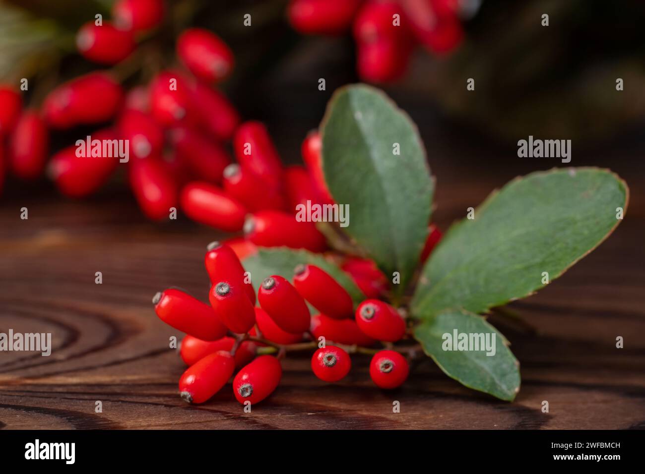 Barberry Berberis vulgaris branch fresh ripe berries wooden background ...