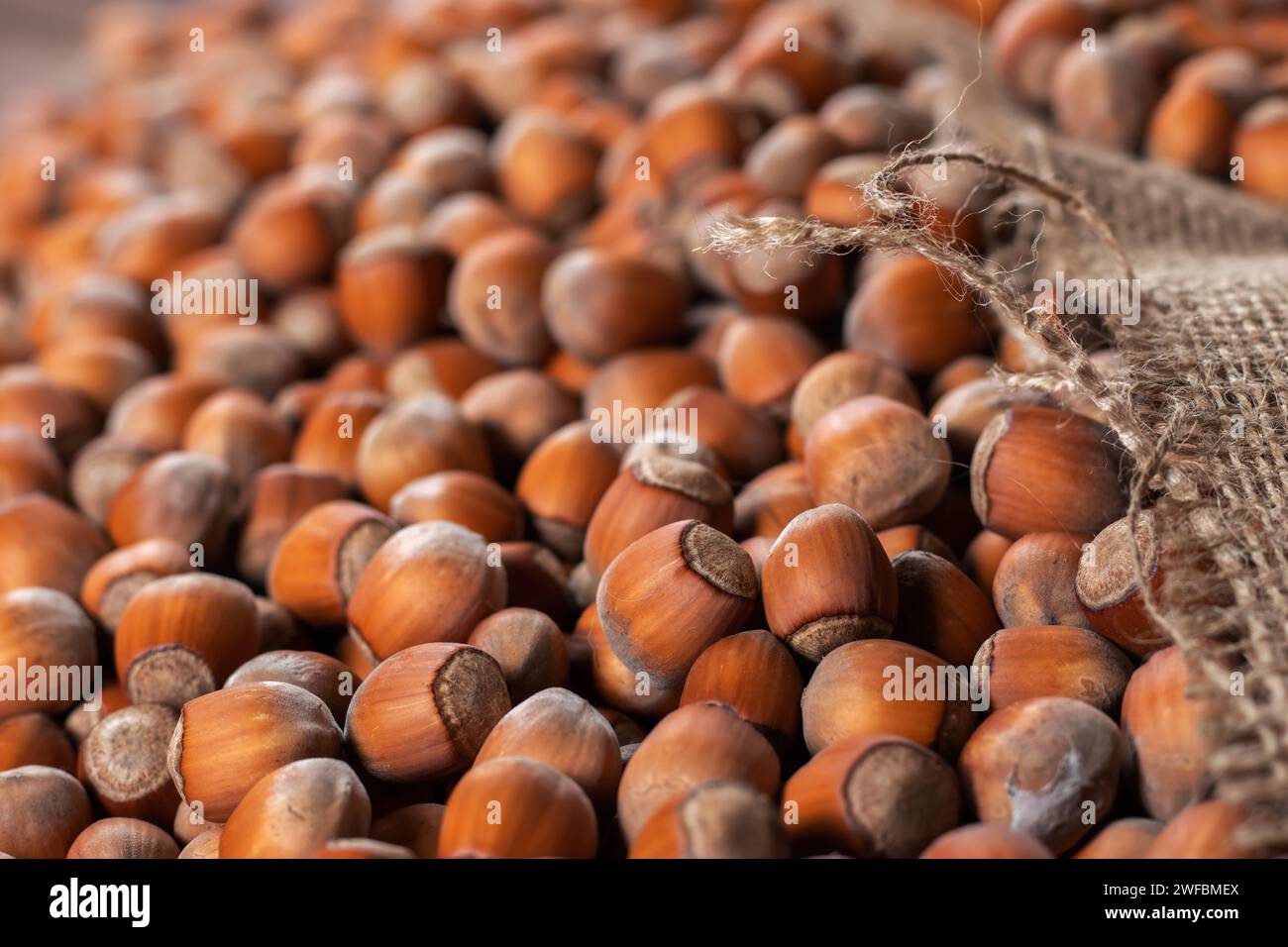 Hazelnuts, filbert on old wooden table. heap or stack of hazel nuts ...