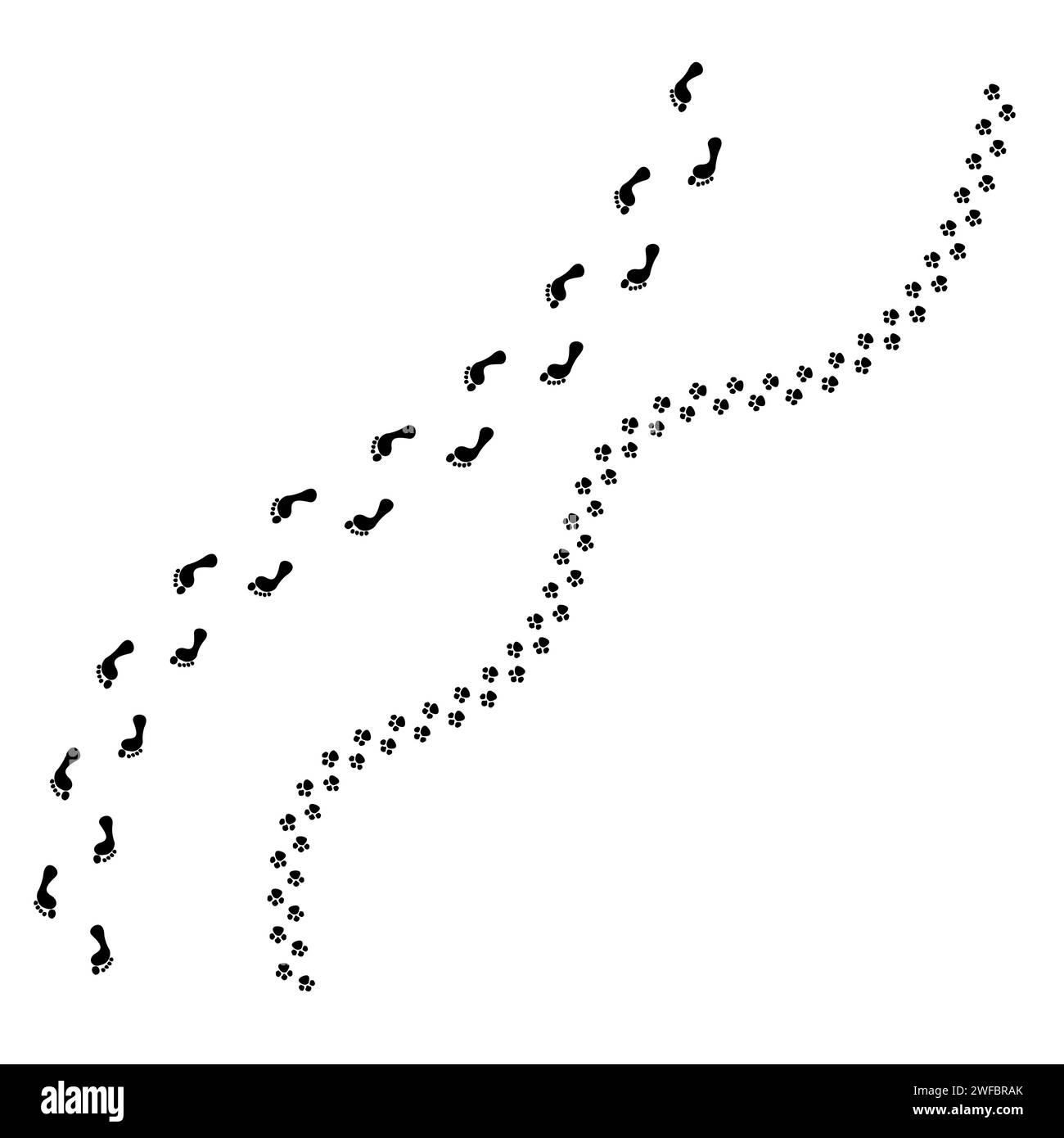 Dog leg turn Stock Vector Images - Alamy