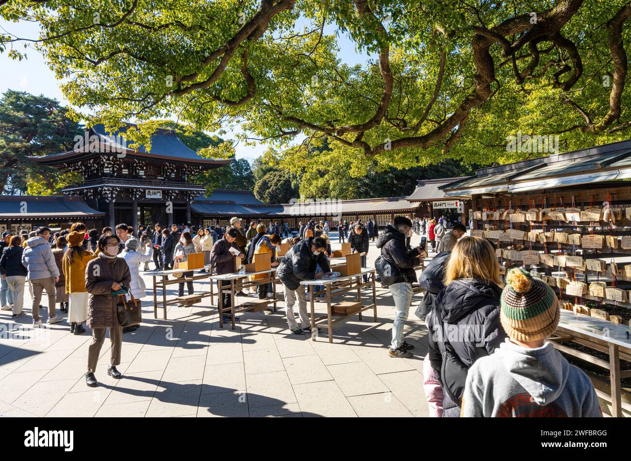 Tokyo, Japan. January 8, 2024. the faithful as they write the Ema ...