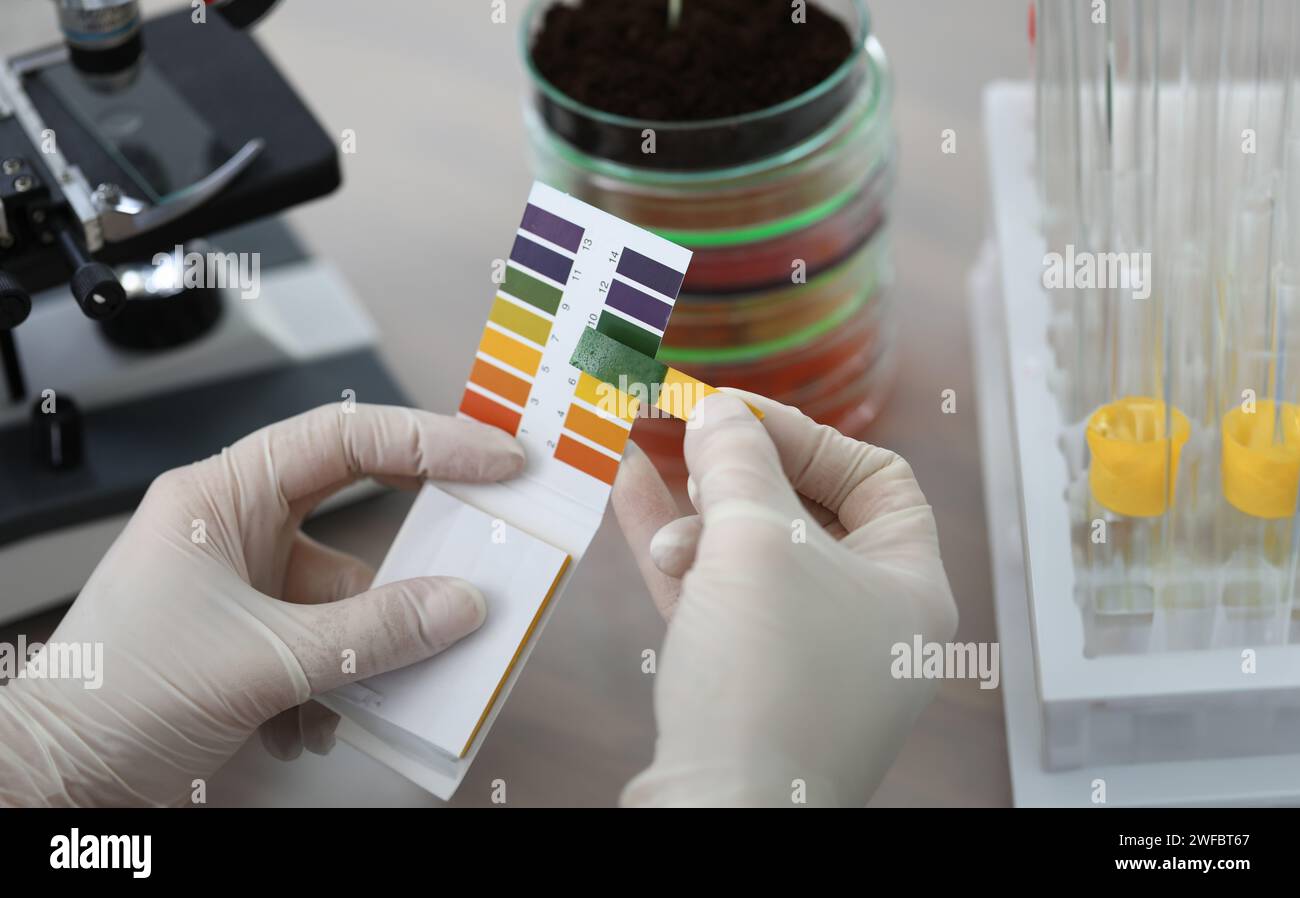 Hands holding litmus test paper for soil analysis Stock Photo - Alamy