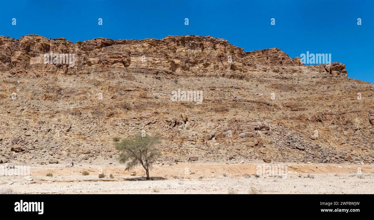landscape with lone tree and layers of conglomerate on steep hill slope ...