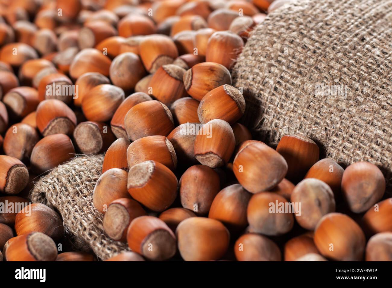 Hazelnuts, filbert on old wooden table. heap or stack of hazel nuts ...