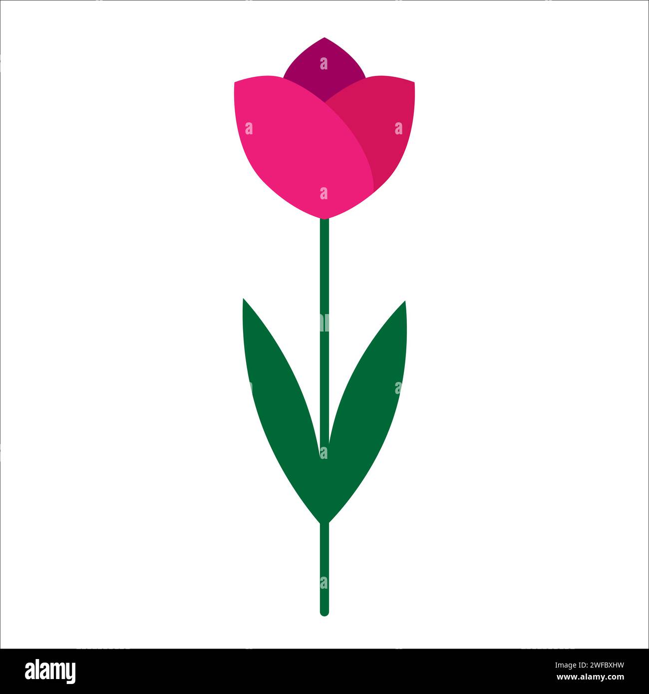 Tulip stock vector hi-res stock photography and images - Alamy