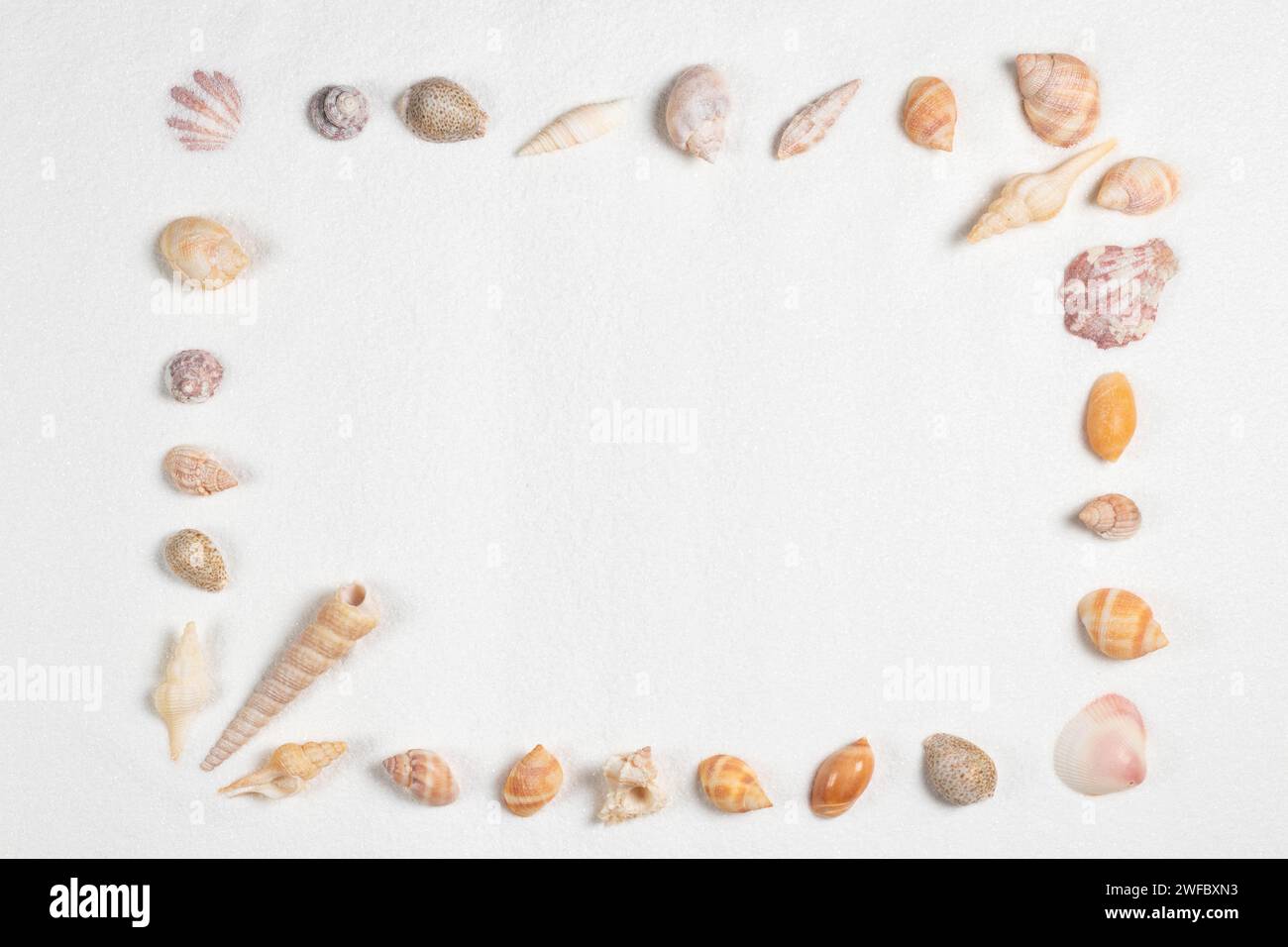 Sea shells on sandy hi-res stock photography and images - Alamy