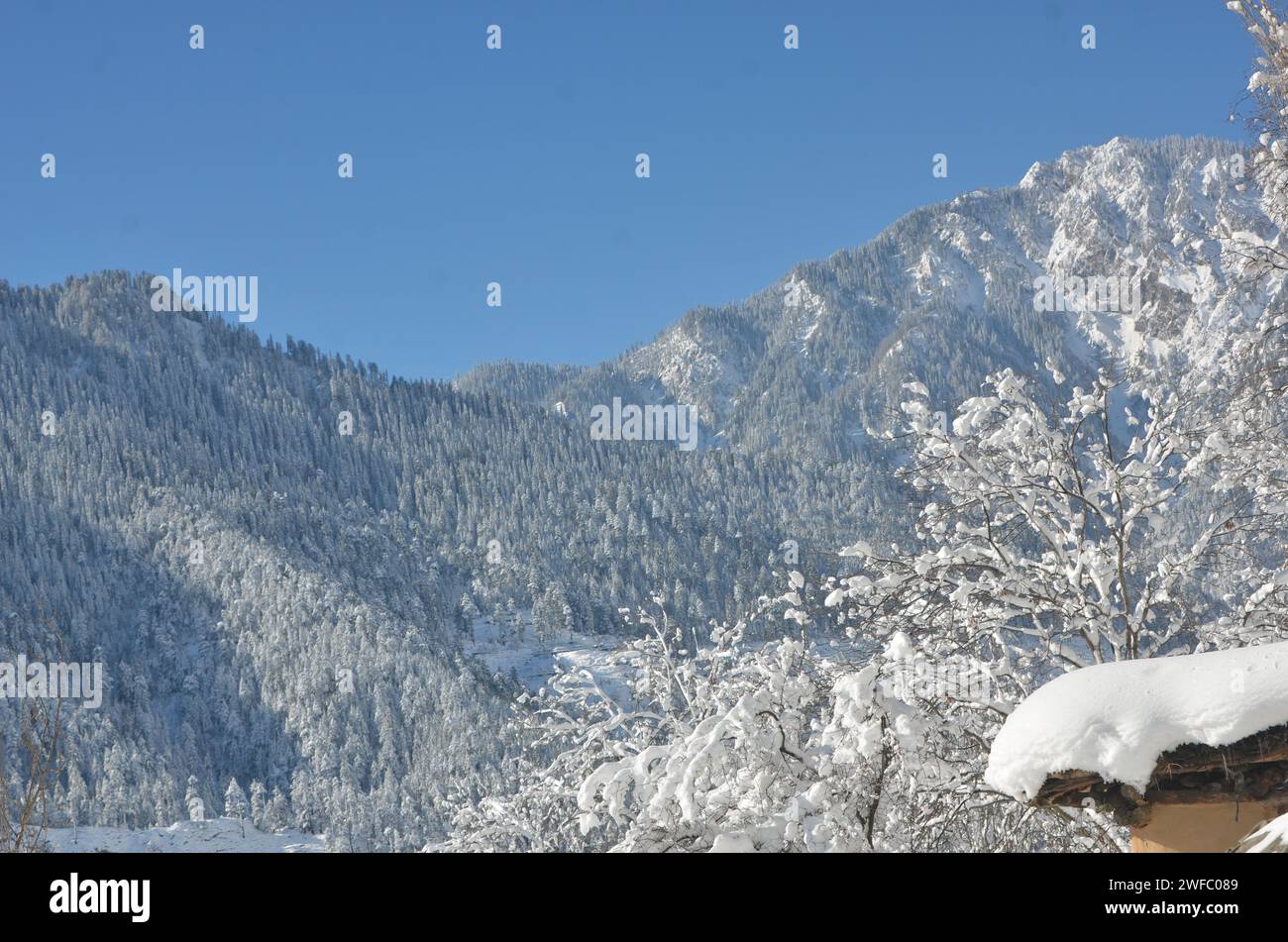 Houses in heavy snowfall hi-res stock photography and images - Alamy