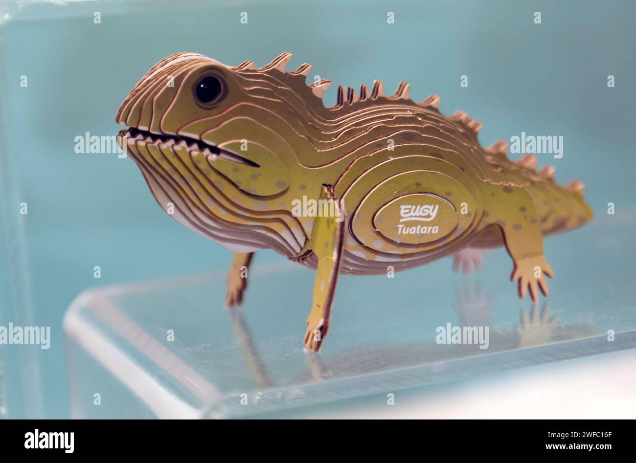 Close-up of a EUGY Eco-Friendly 3D Paper Puzzle Tuatara, on display at ...