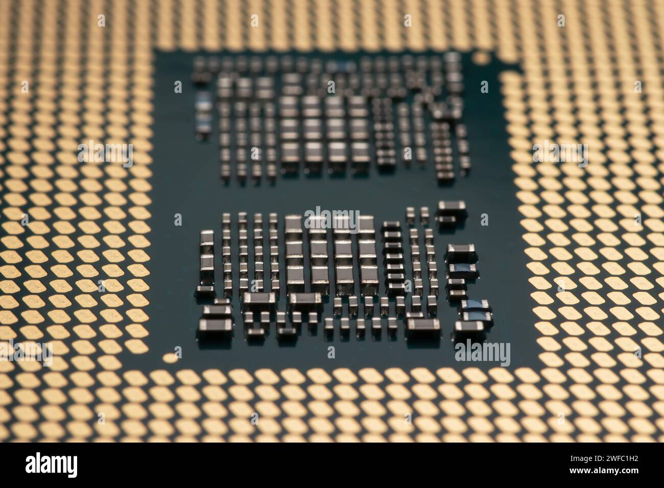 cpu gold pins microchip processor computer component technology. Macro photography Central ...