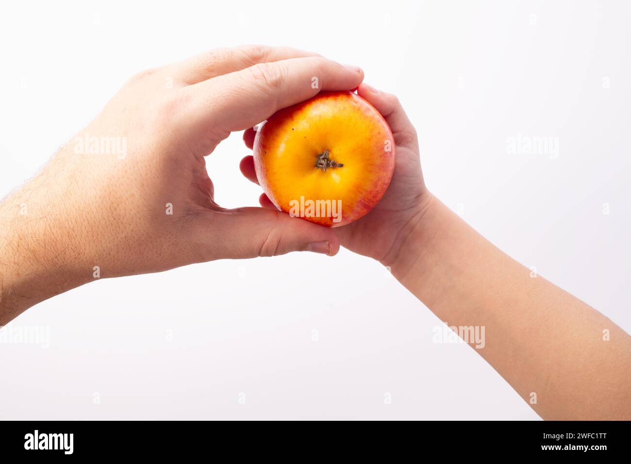 Farmers hand giving an apple to little child girl hand. Short food ...