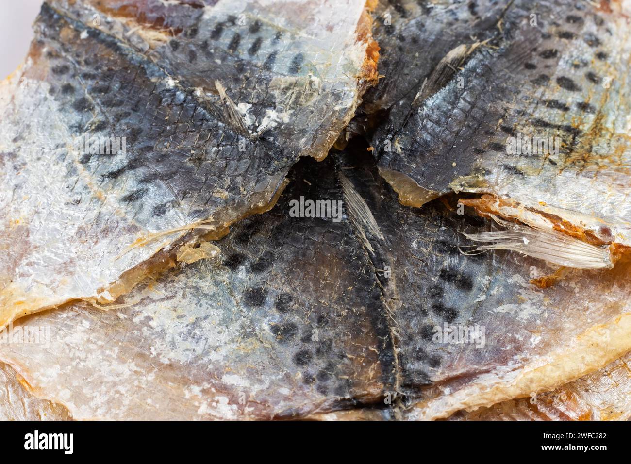 Yellowstripe scad selaroides leptolepis hi-res stock photography and ...