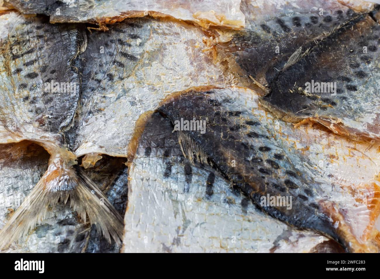 Dry salted yellowstripe scad texture background. Dried small fish ...