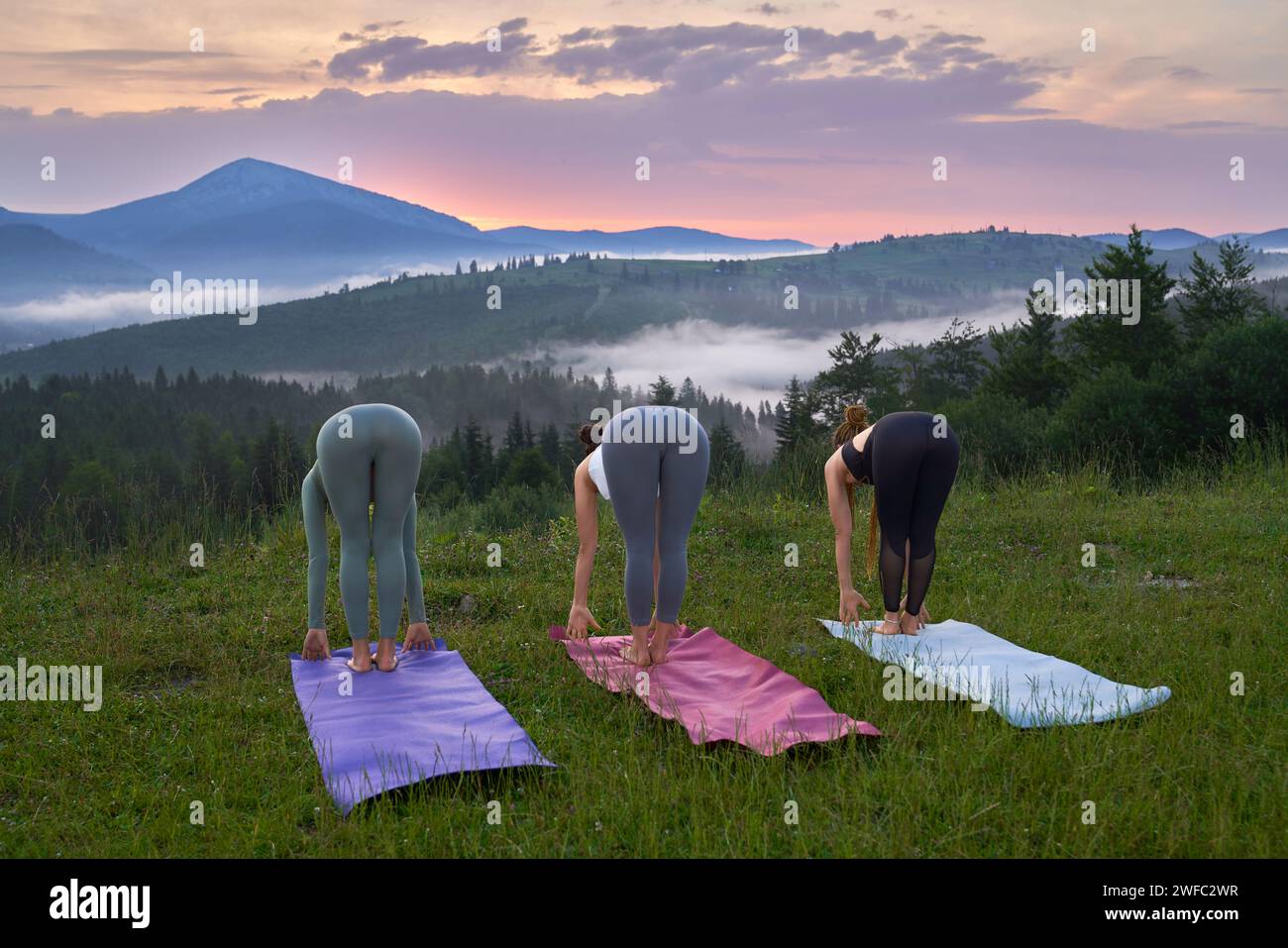 Back view of young sporty women in activewear exercising together among ...
