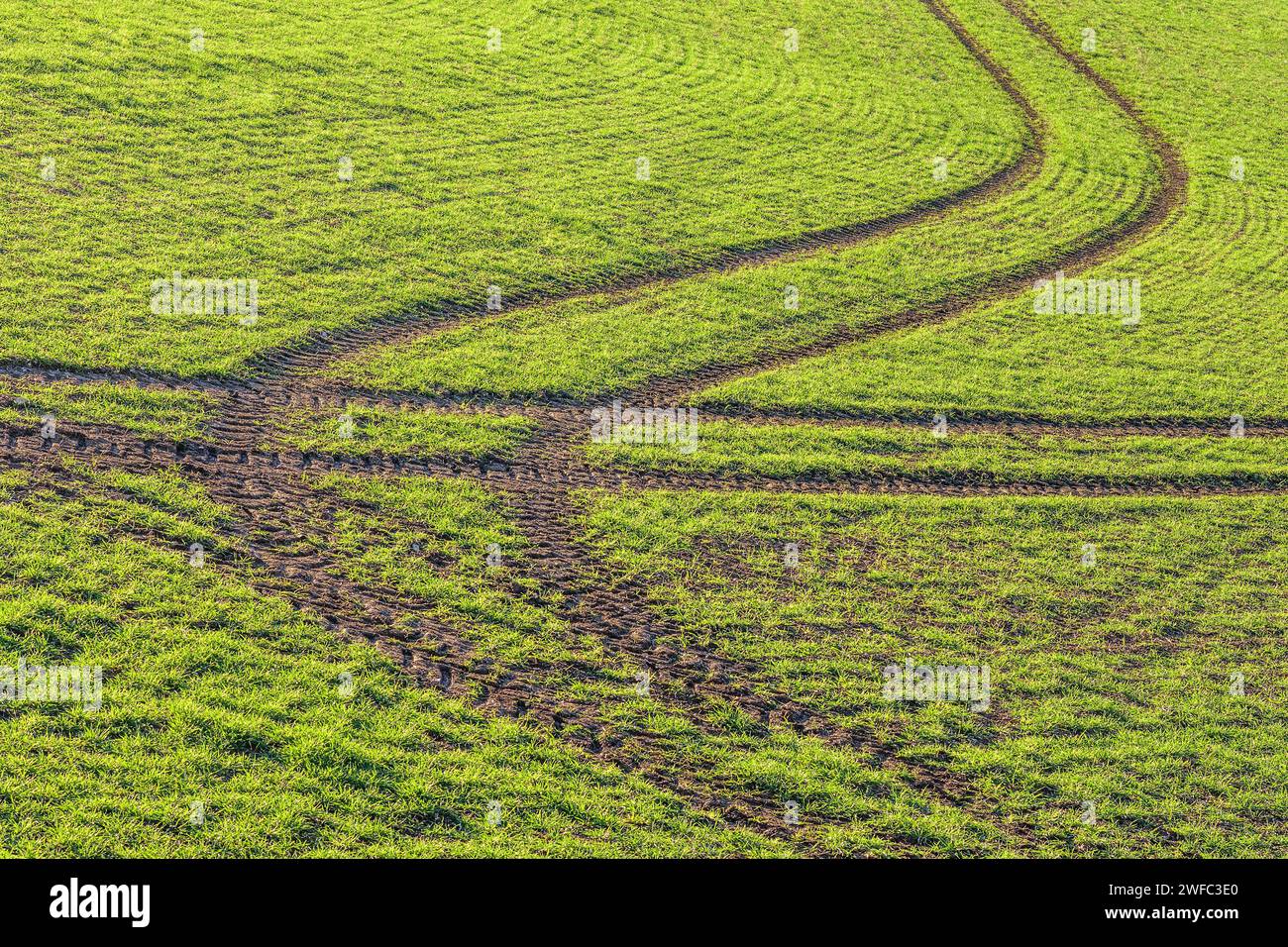 Tractor tyre marks in farmers field - central France Stock Photo - Alamy