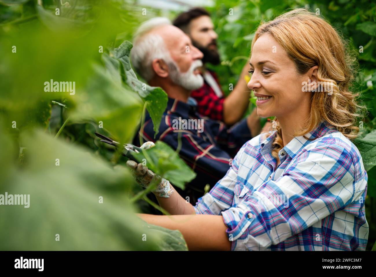 Multicultural family community garden hi-res stock photography and ...