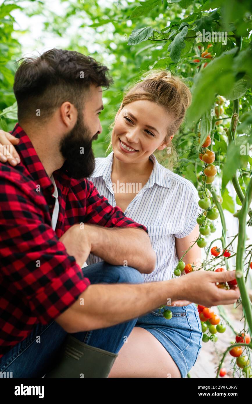 Friendly farmer team harvesting fresh vegetables from the rooftop ...