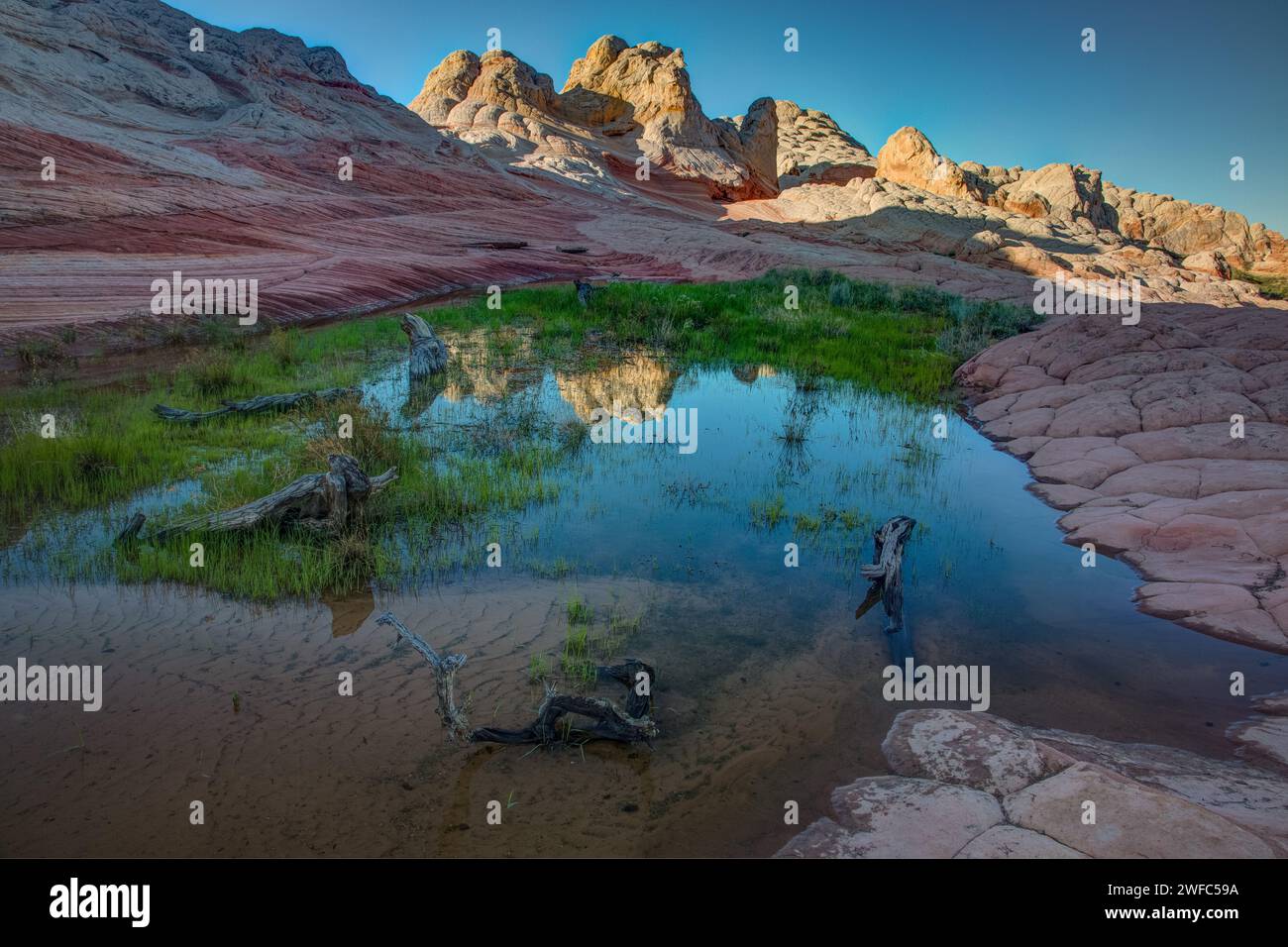 The Citadel reflected in an ephemeral pool in the White Pocket ...