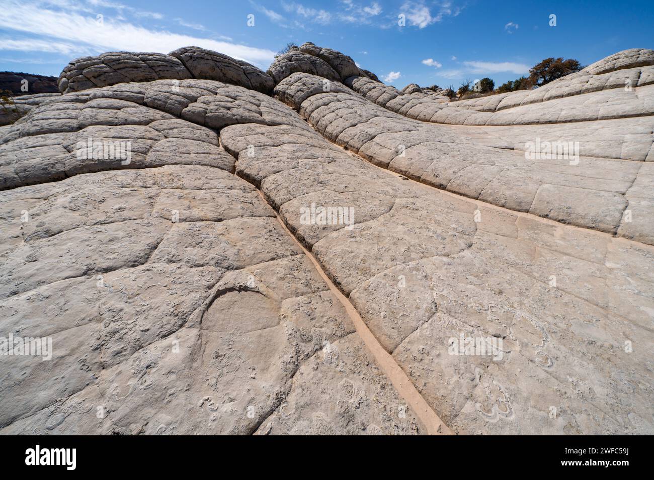 White pillow rock or brain rock sandstone in the White Pocket ...