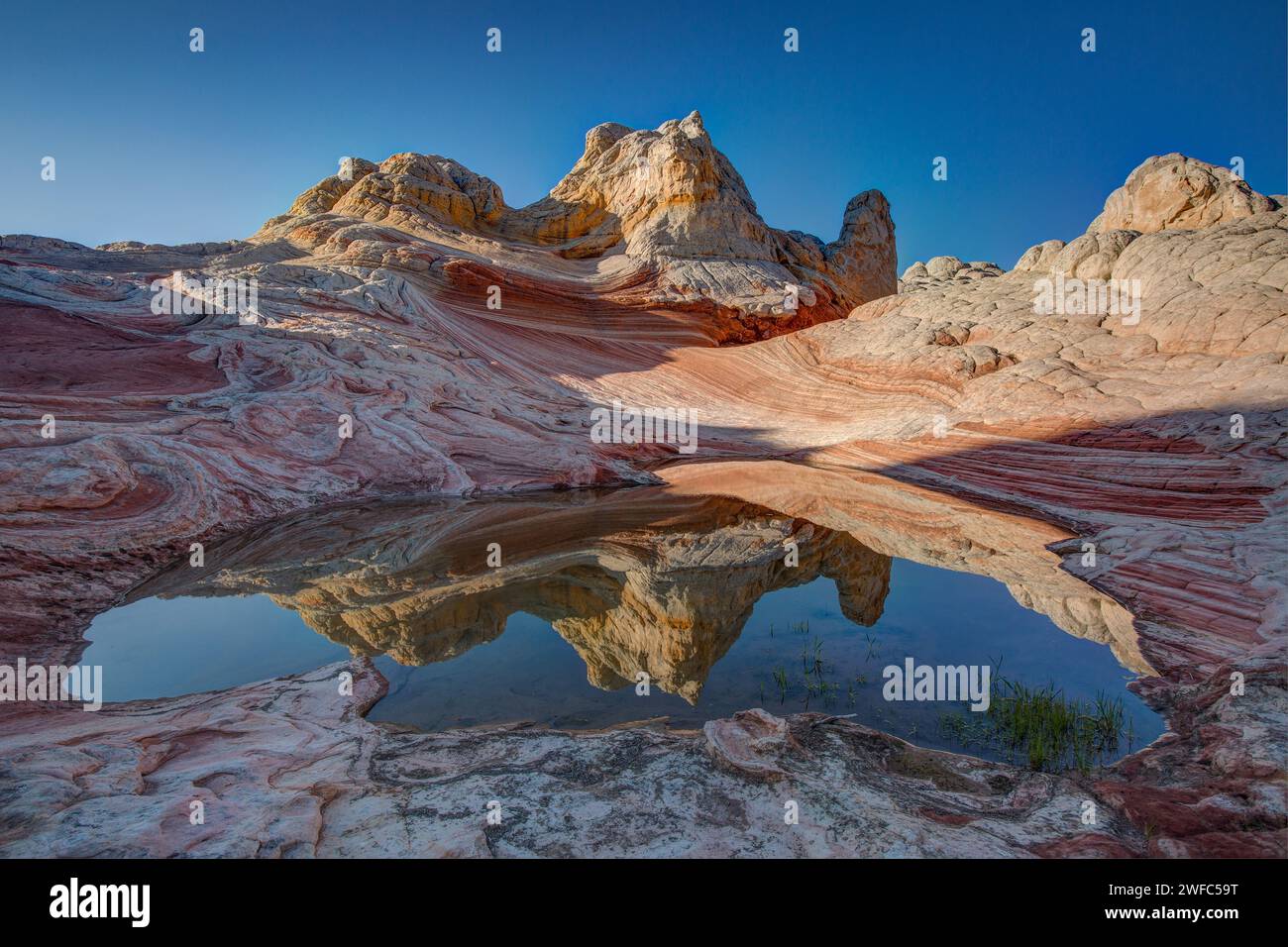 The Citadel reflected in an ephemeral pool in the White Pocket ...